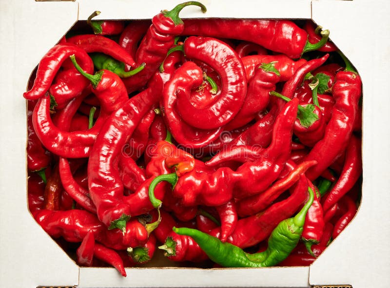 Ripe Red Hot Pepper in a White Cardboard Box Stock Photo - Image of ...
