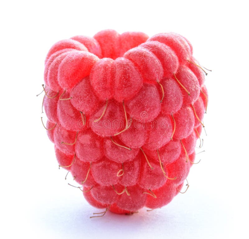 Ripe Red Juicy Raspberry Isolated on White Background Stock Image ...