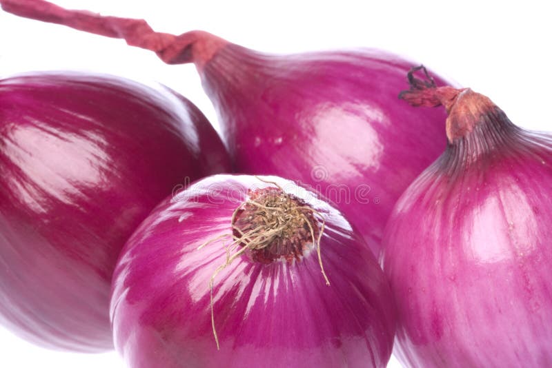 Ripe red onions stock image. Image of bright, onions, nutritional - 6929523