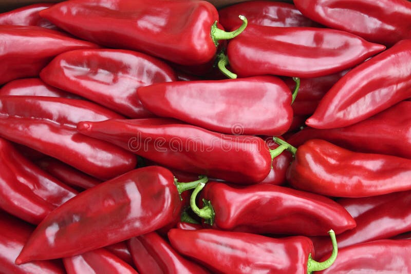 Ripe red peppers stock image. Image of eating, pile - 230618205