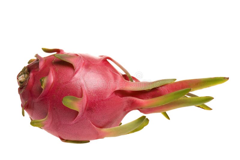 Ripe red pitaya fruit stock photo. Image of pitahaya, ripened - 5322364