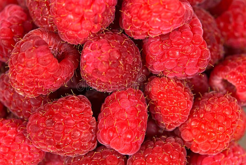 Ripe red raspberries stock photo. Image of edible, bright - 26877412