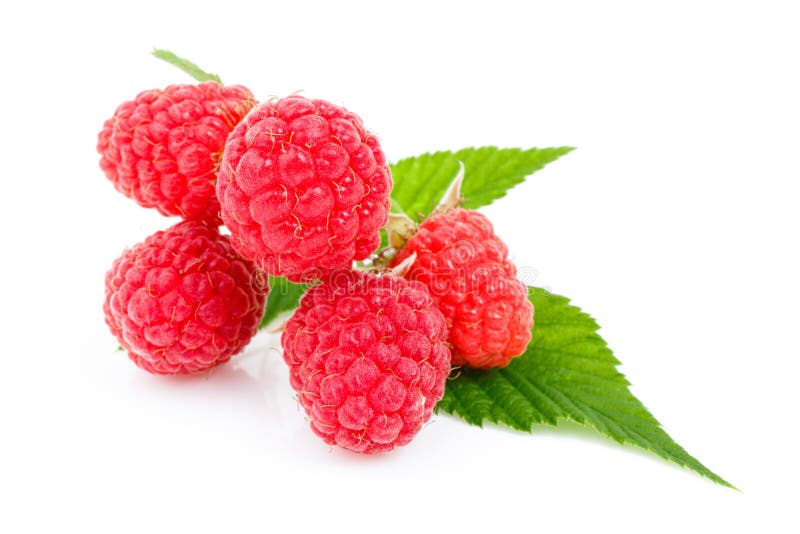 Ripe Red Raspberries with Green Leaves on a White Background Stock ...