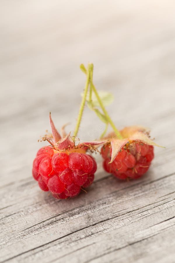 Ripe Red Raspberries on Wood Table Stock Photo - Image of ripe, sweet ...