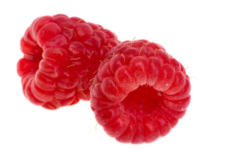 Ripe Red Raspberry Isolated Stock Photo - Image of closeup, dessert ...