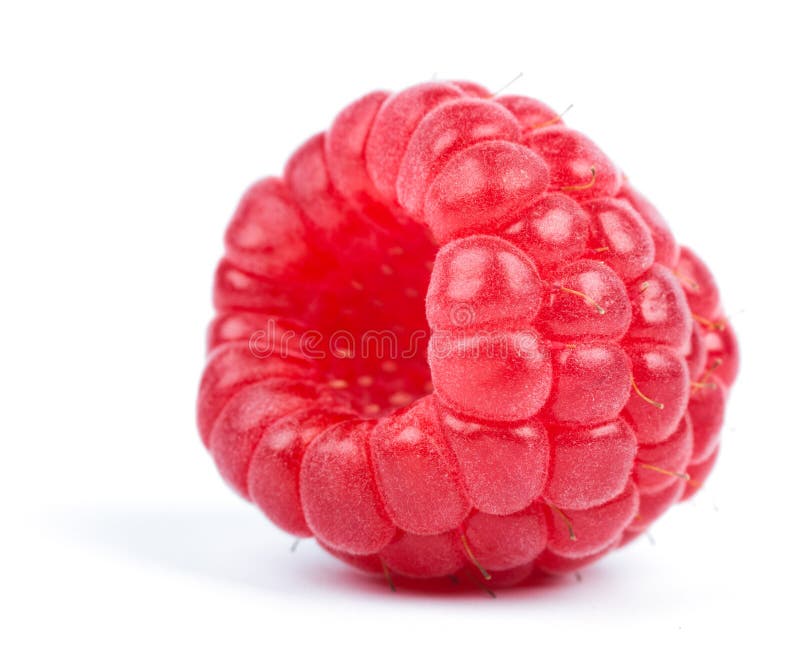 Raspberry stock photo. Image of natural, freshness, desert - 10038144