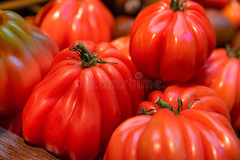 Ripe Red Tomato Fruit, Up Close Stock Photo - Image of ingredients ...