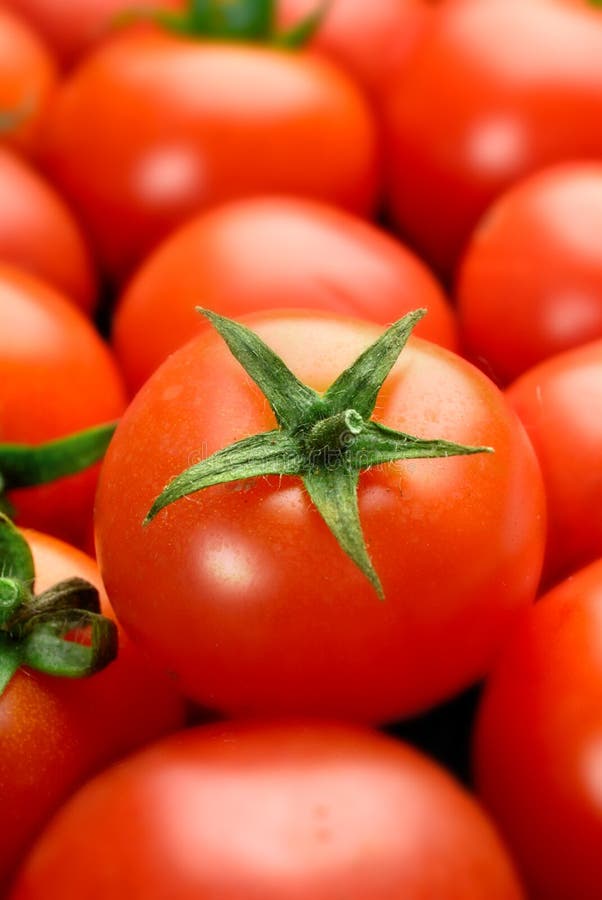 Ripe red tomatoes stock photo. Image of details, fresh - 13372374