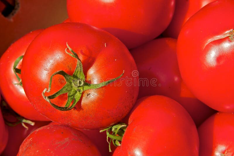 Ripe Red Tomatoes at the Market Stock Photo - Image of kitchen, food ...