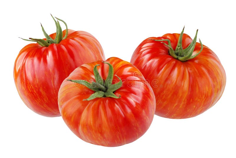 Ripe Red Tomatoes with Orange Stripes Isolated on White. Stock Photo ...
