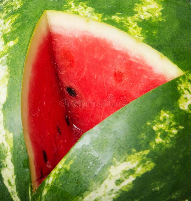 Ripe red watermelon stock image. Image of watermelon - 75364313