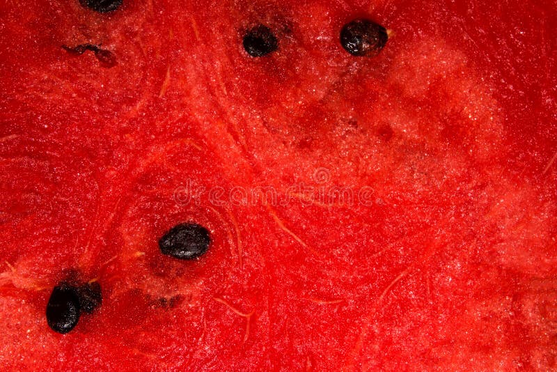 Ripe Red Watermelon.Texture of Red Watermelon with Bones Stock Photo ...