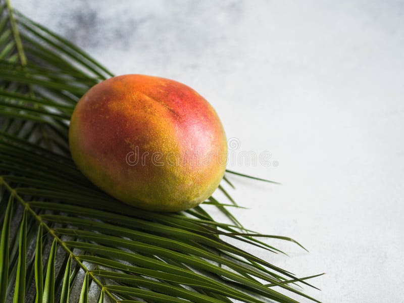 Ripe Red and Yellow Mango on Palm Tree Leaves on Gray Background. Copy ...
