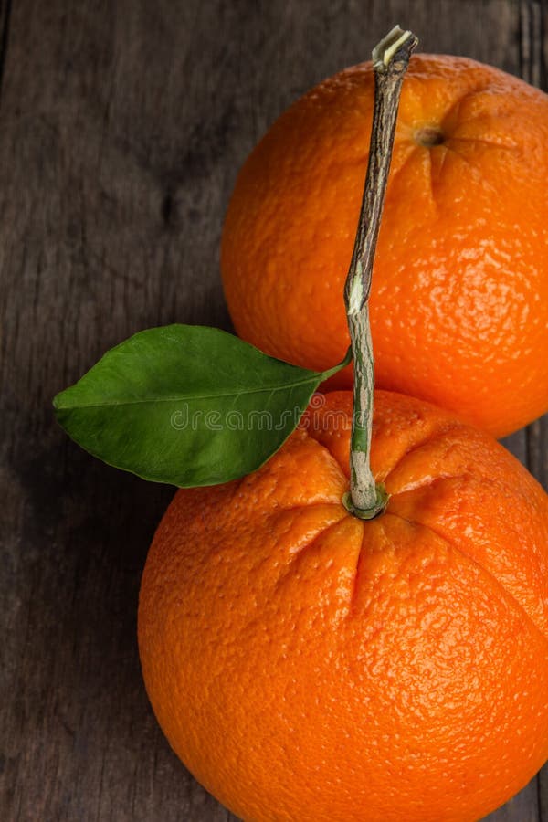 Ripe Round Orange With Stem And Leaf Stock Photo - Image of leaf ...