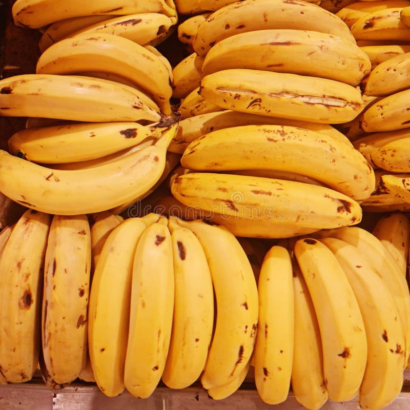 Ripe Silver Banana Ready To Eat, Yellow in Color Stock Image - Image of ...
