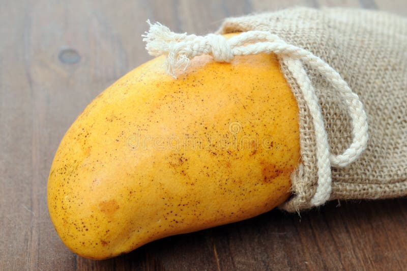 Single mango stock image. Image of nutrition, sweet, healthy - 31754637