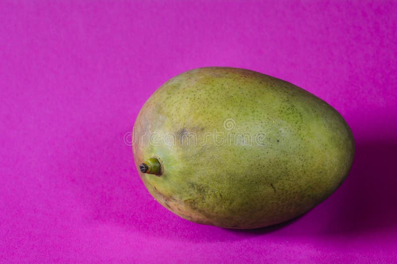 Ripe Single Mango Fruit Studio Photo Isolated with Text Space Stock ...
