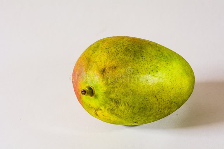 Ripe Single Mango Fruit Studio Photo Isolated with Text Space Stock ...