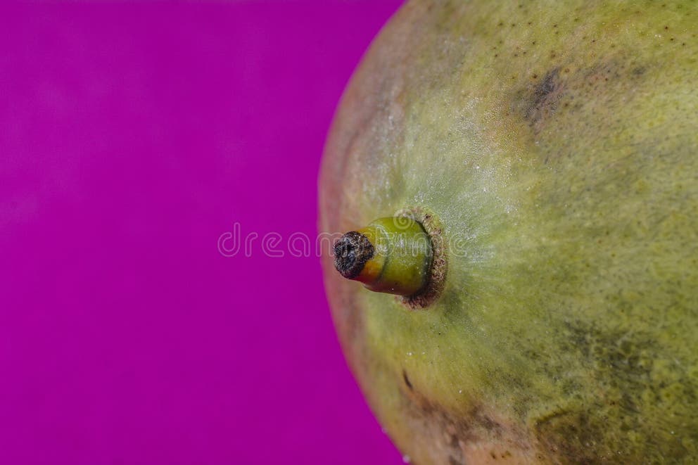 Ripe Single Mango Fruit Studio Photo with Text Space Stock Image ...