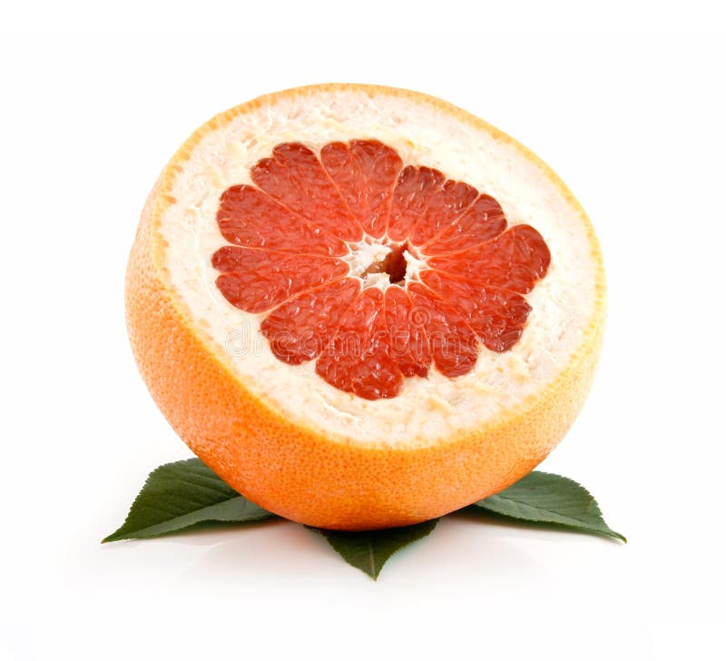 Grapefruit Slice stock photo. Image of citrus, closeups - 14364