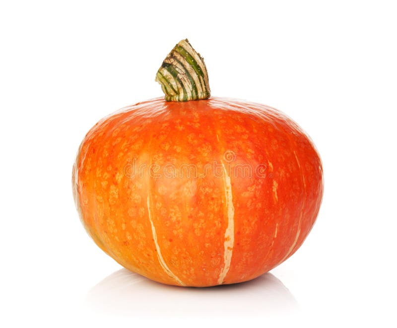 Small pumpkin stock image. Image of nature, life, gold - 6747581
