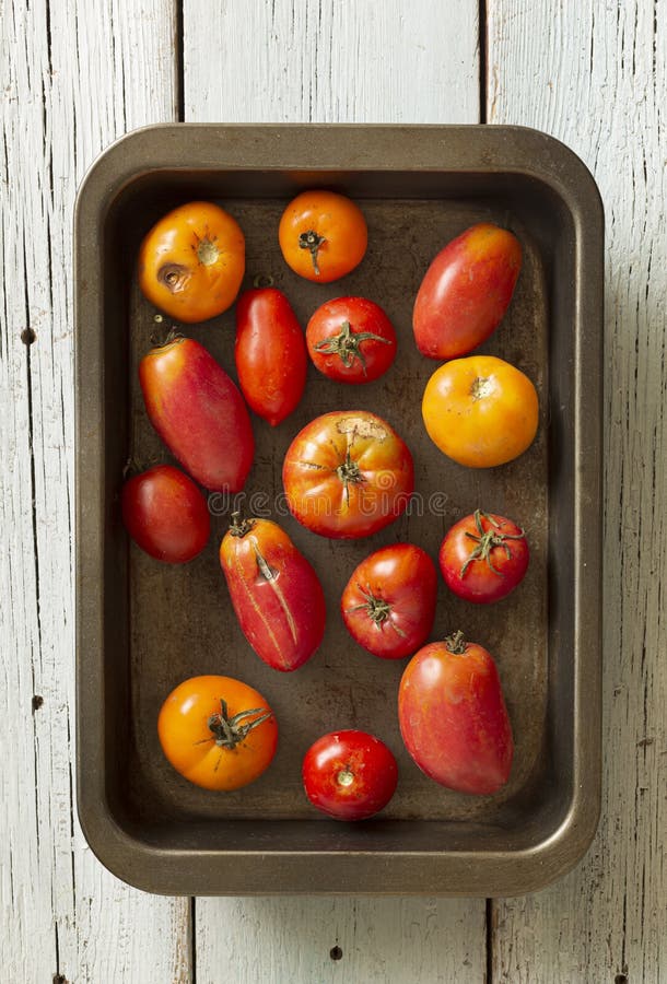 Ripe and Spoiled Tomatoes in Tin Deco. Top View Stock Image - Image of ...