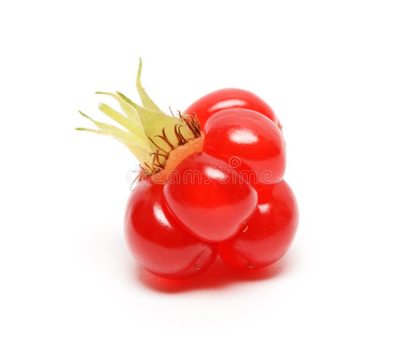 Ripe Stone Berry with Leaves Stock Photo - Image of leafs, background ...