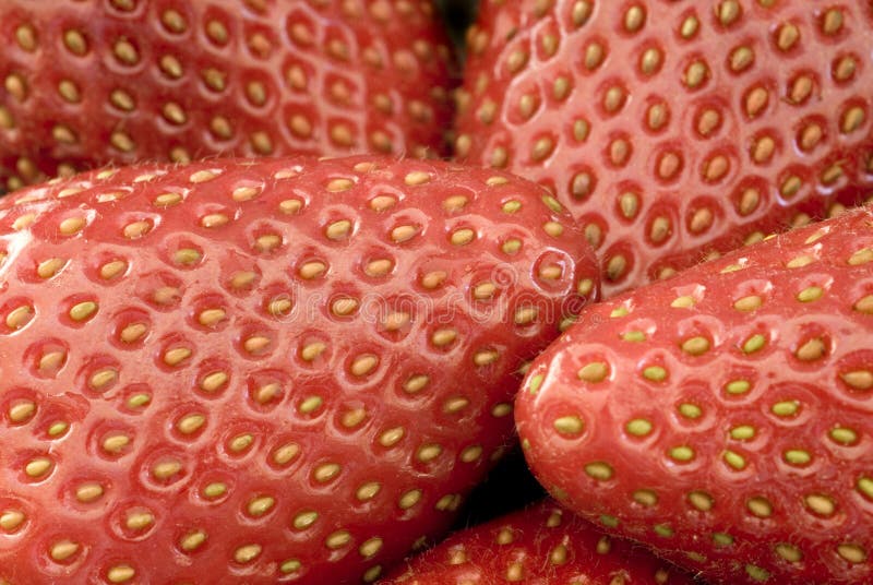 Ripe strawberries stock image. Image of strawberry, dessert - 10131665