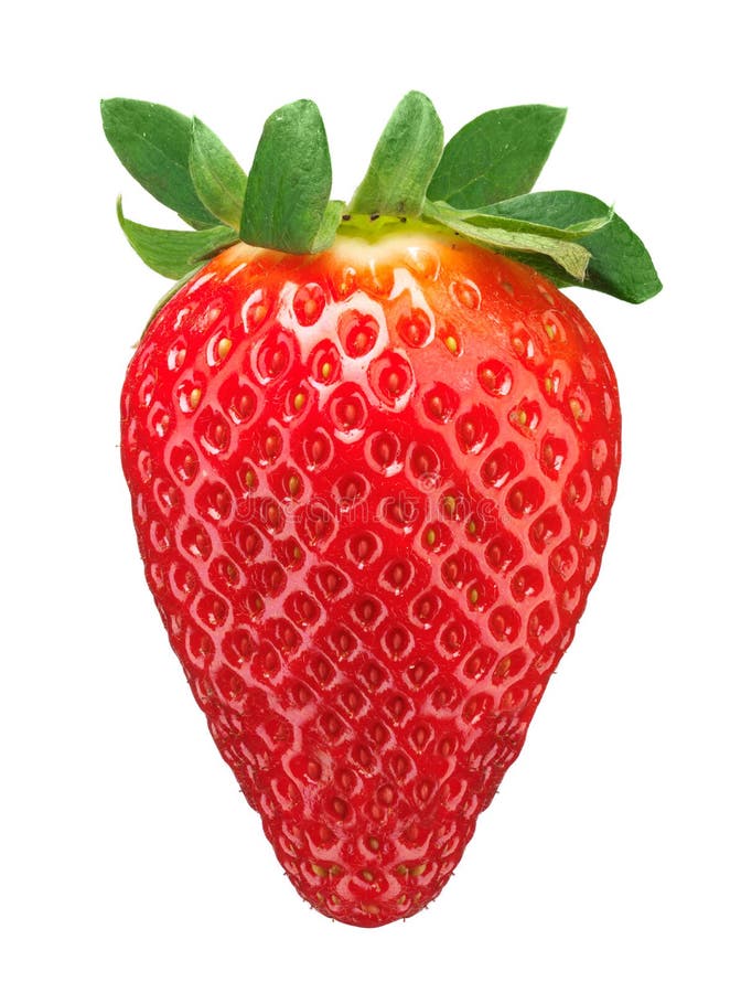 Ripe strawberry stock photo. Image of single, strawberry - 14257944