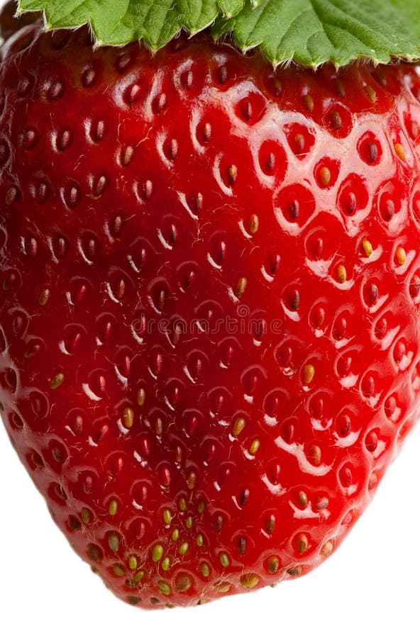 Ripe strawberry stock image. Image of freshness, closeup - 17236993