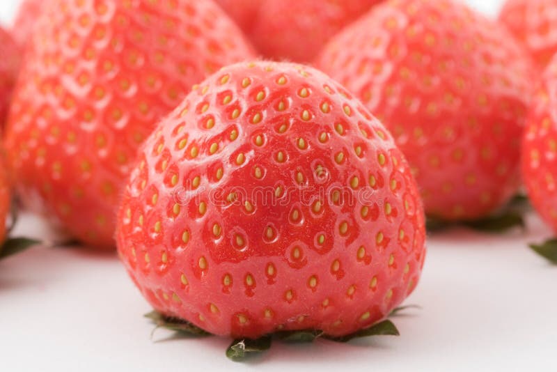 Ripe strawberry stock photo. Image of bunch, healthy, freshness - 3474262