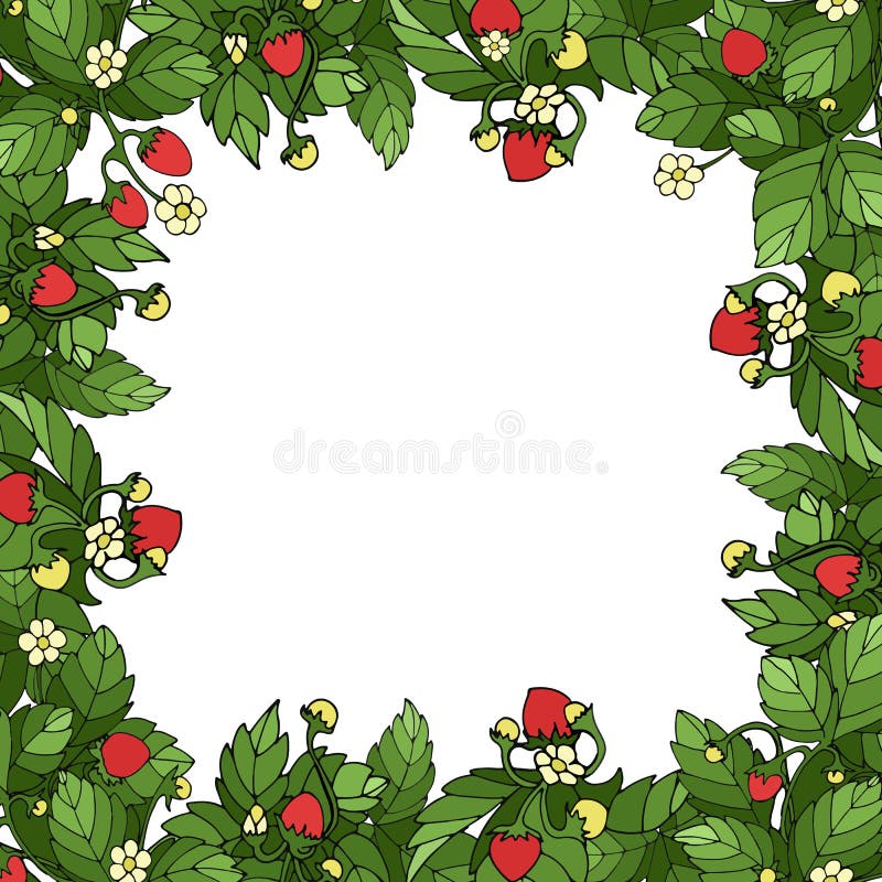 Strawberry Frame 2. Red Berry And White Flower Stock Vector ...