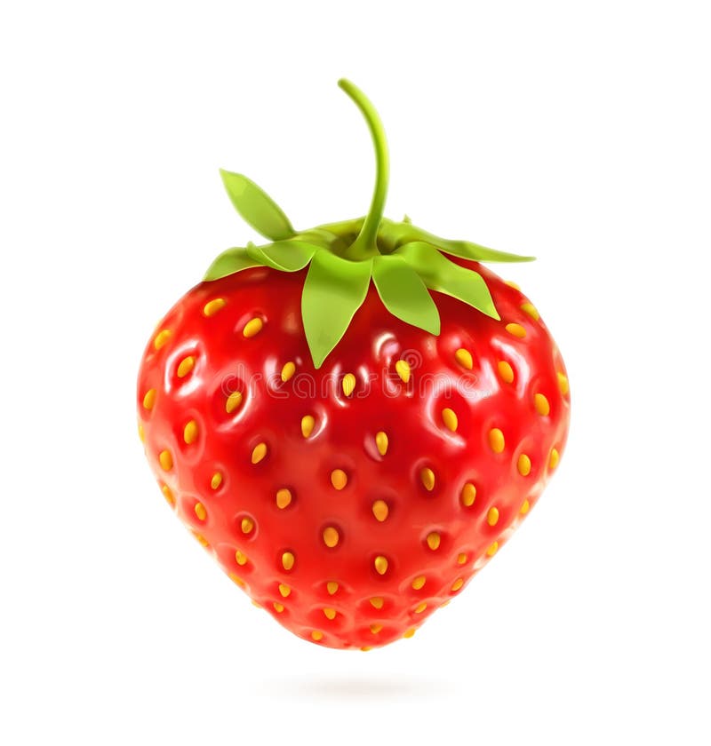 Ripe Strawberry Illustration Stock Vector - Illustration of fresh ...