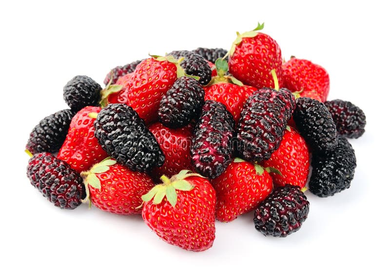 Ripe Strawberry and Mulberry Stock Photo - Image of path, natural: 31509386