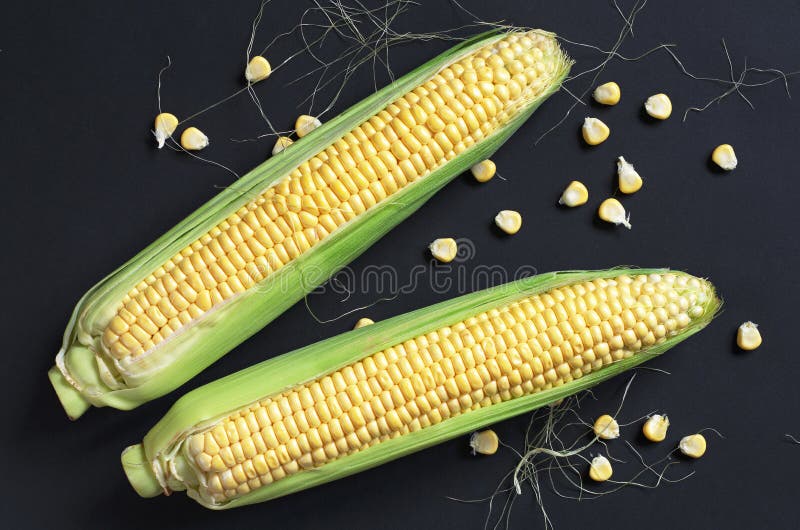Ripe sweet corn stock photo. Image of background, agriculture - 75523266