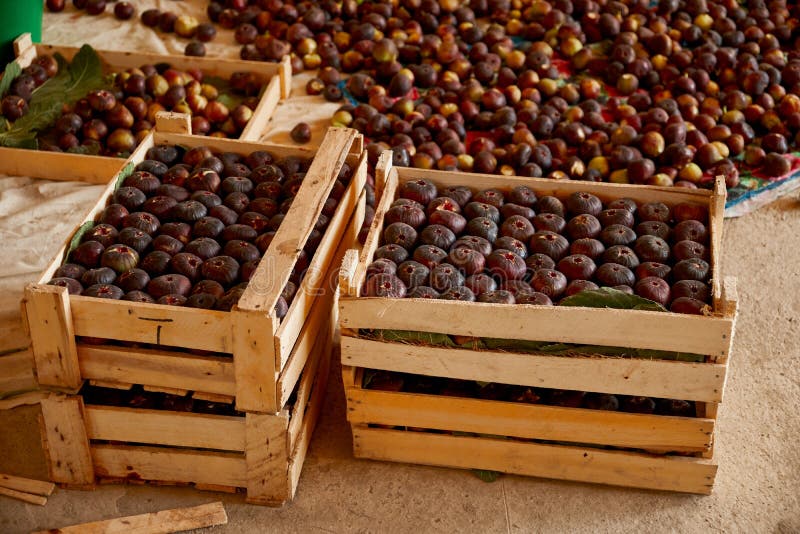 Ripe Sweet Figs in Box. Healthy Central Asian Fig Fruit Stock Photo ...
