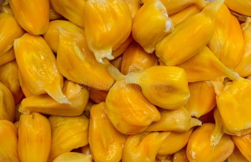 Ripe Sweet Jack Fruit pods stock image. Image of production - 155947625