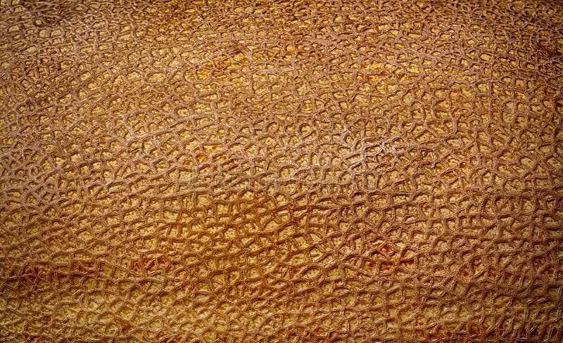 Ripe Sweet Melon Fruit Texture Background. Close Up of a Ripe Fresh ...