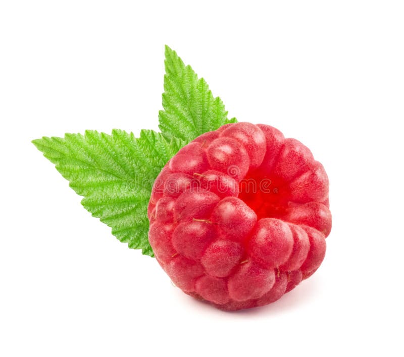 Ripe Raspberry with Green Leaves Isolated on White Background. Stock ...