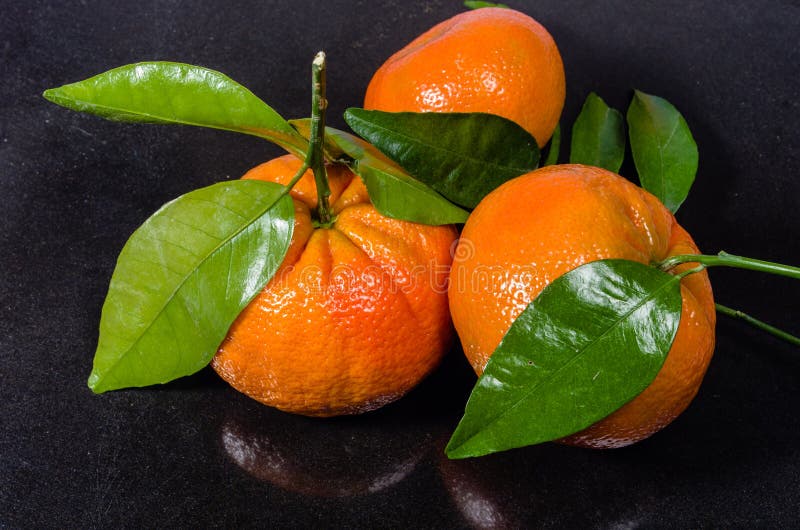 Ripe Tangelos with Leaves on Black Counter Stock Image - Image of ...