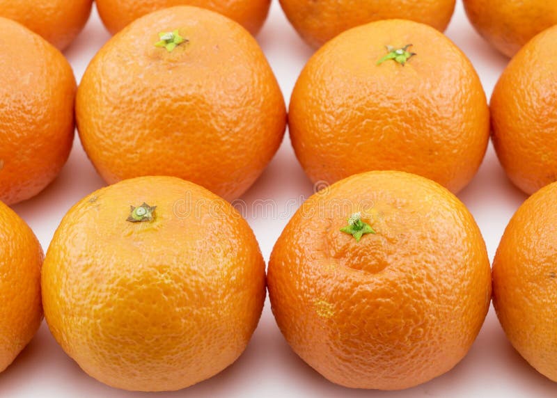 Ripe Tangerines Arranged in Rows Stock Photo - Image of reflection ...