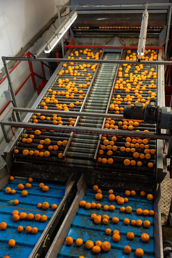 3,599 Fruit Processing Plant Picture Stock Photos - Free & Royalty-Free ...