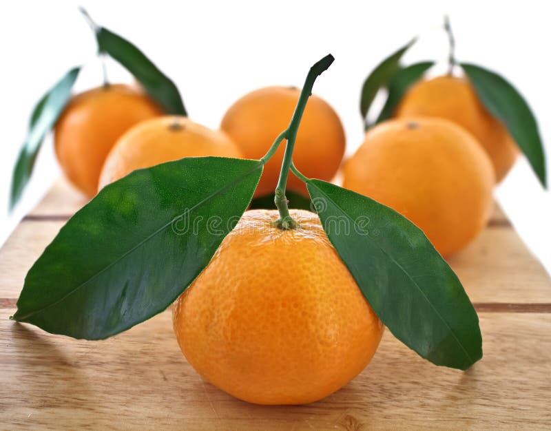 Ripe Tangerines with Large Leaves Stock Photo - Image of juicy, healthy ...