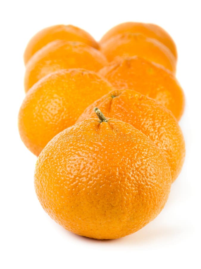 Ripe tangerines stock photo. Image of group, citrus, mandarin - 29795110