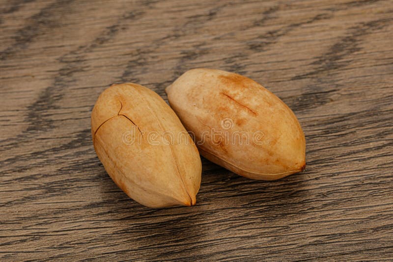 Ripe tasty Two pecan nuts stock photo. Image of natural - 197771404