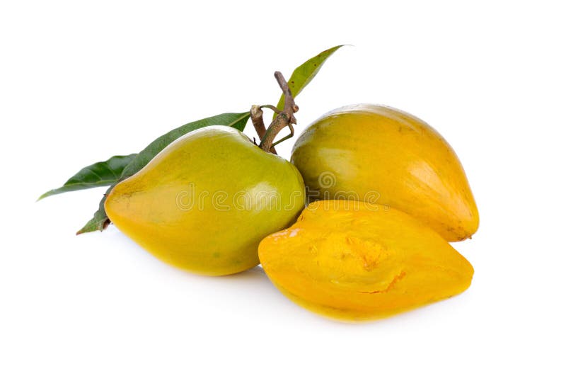 Ripe Tiesa or Egg Fruit with Stem and Leaves on White Background Stock ...