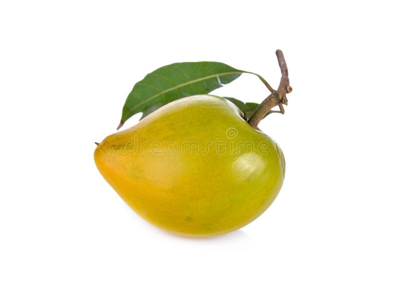 Ripe Tiesa or Egg Fruit with Stem and Leaves on White Background Stock ...