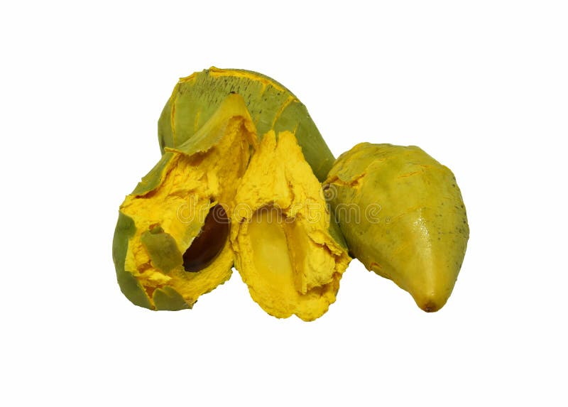 127 Tiesa Fruit Photos - Free & Royalty-Free Stock Photos from Dreamstime