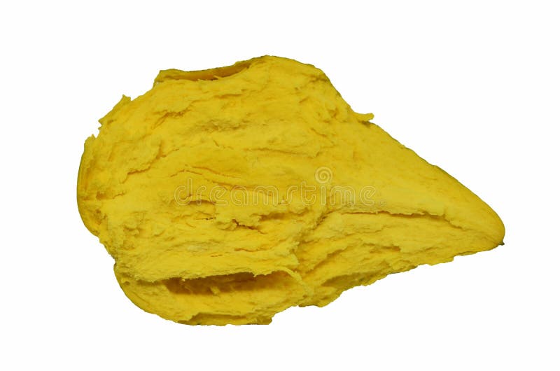 Tiesa egg stock image. Image of campechiana, tropical - 47468727