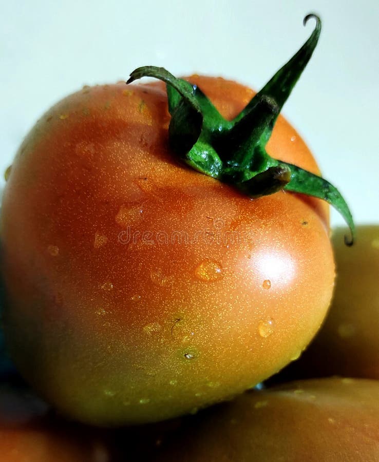 A Ripe Tomato on the Background. Fresh Tomato Images Stock Image ...